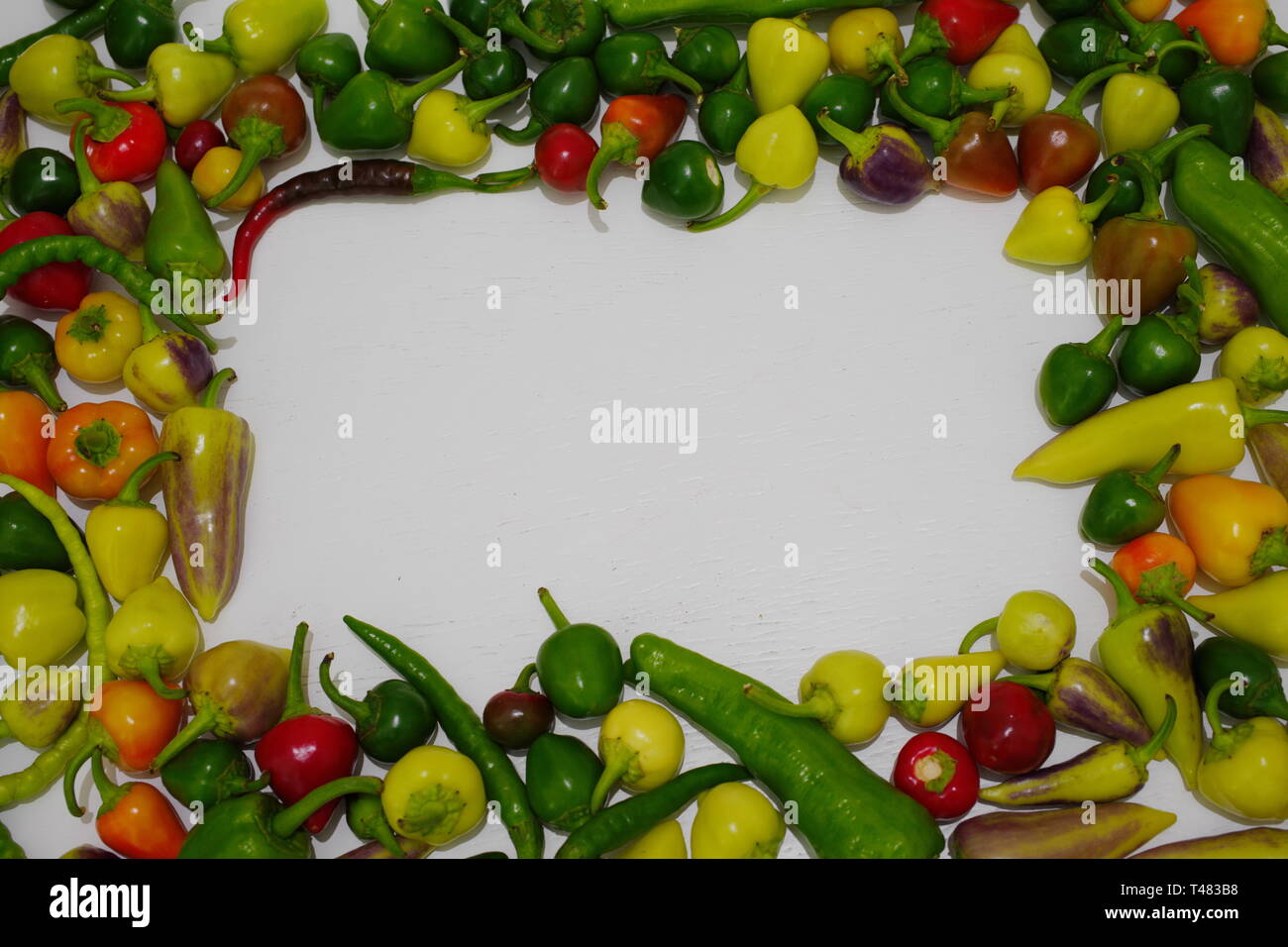 Pickle supplies, vegetable frame. Top view. Free space for text ...