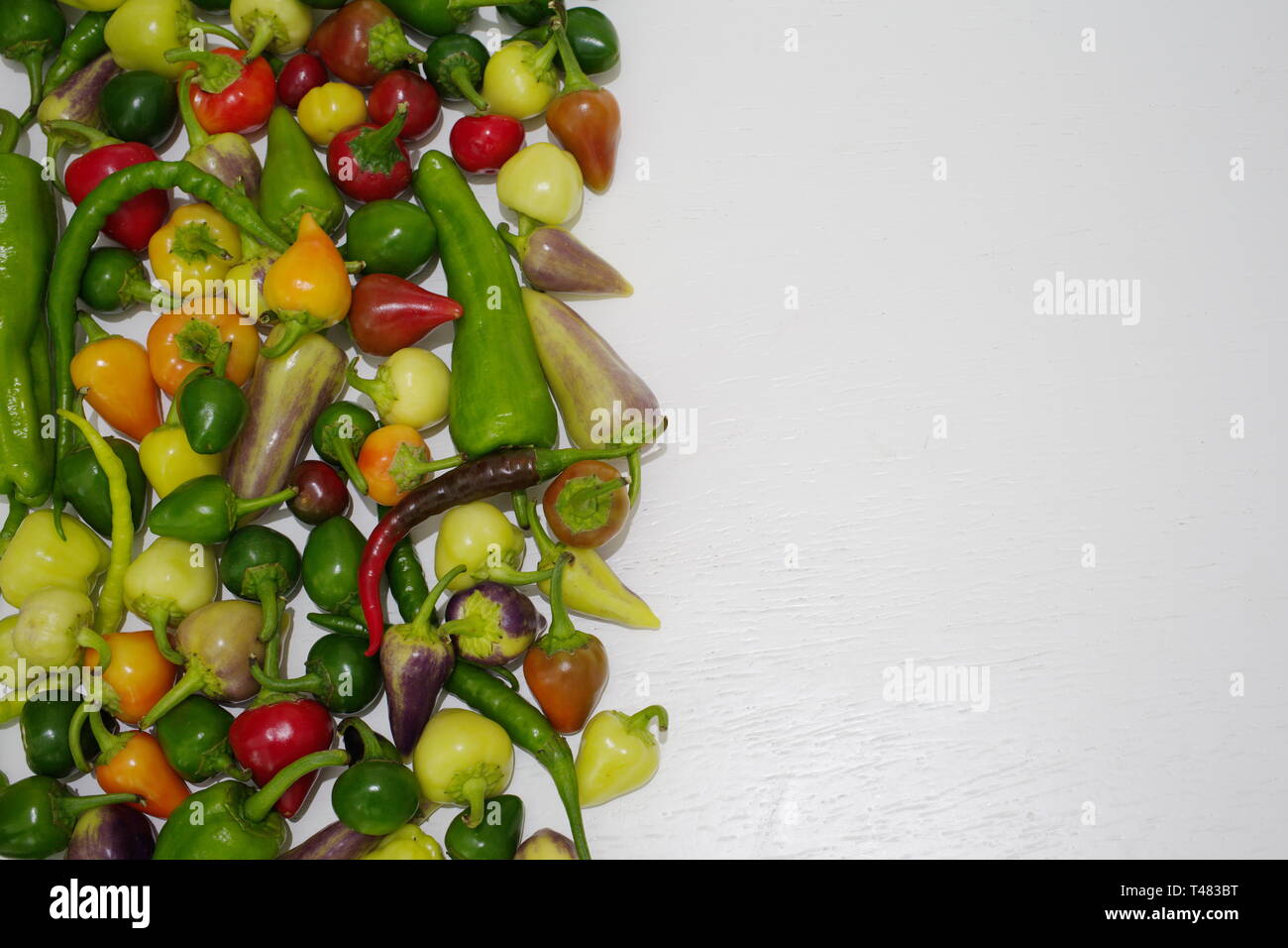 Pickle supplies, vegetable frame. Top view. Free space for text ...