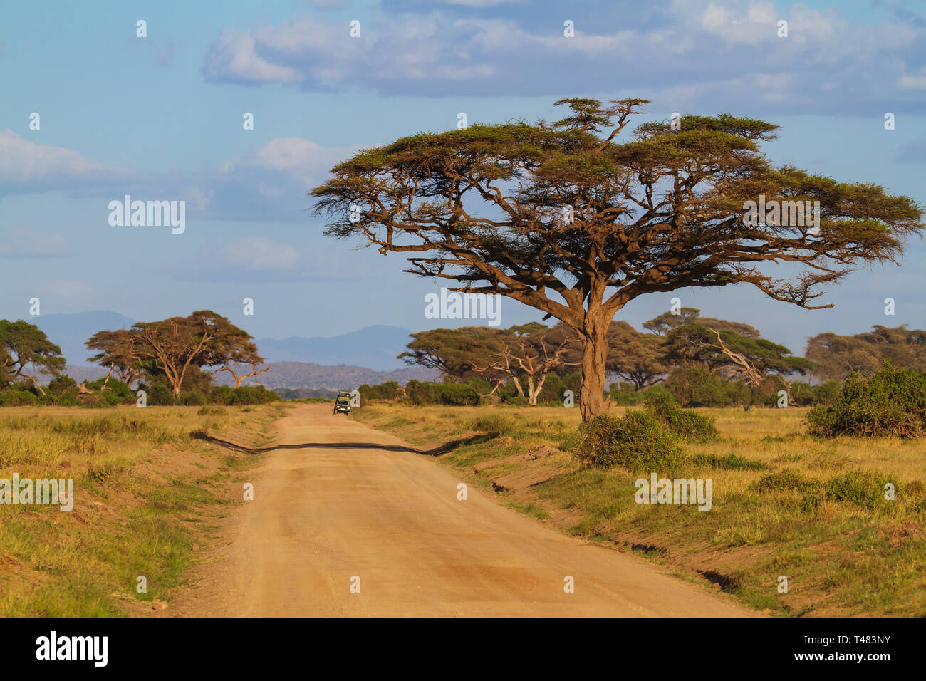 African landscape dust road into distance distant skyline with safari ...