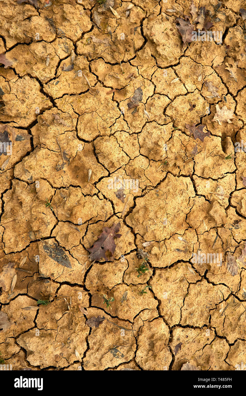 Dry cracked earth environmental nature close-up landscape Stock Photo ...