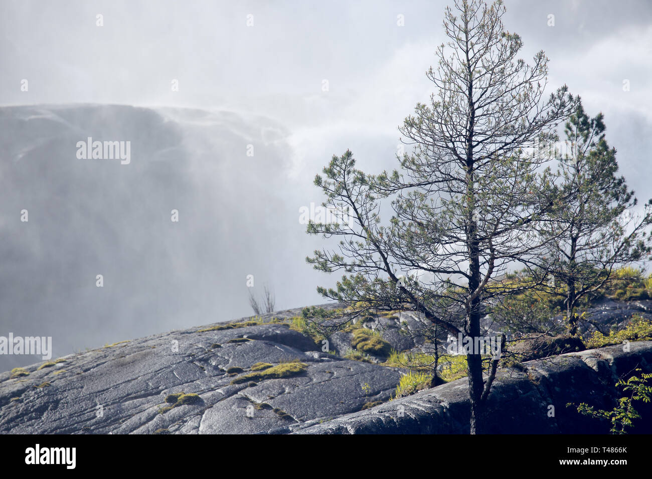 View on Langfossen Langfoss waterfall in summer, Etne, Norway Stock ...