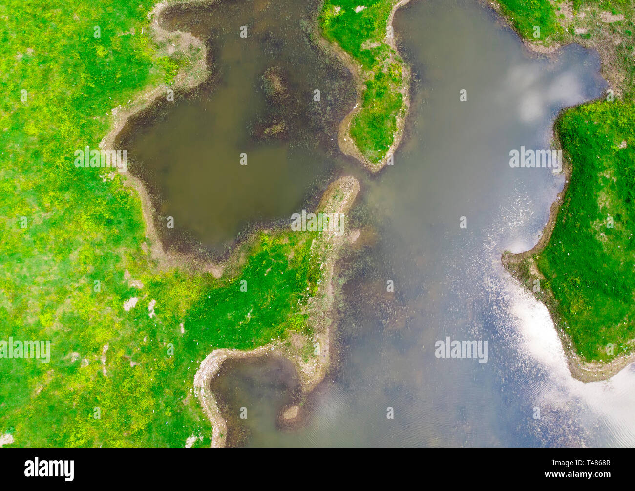 aerial view of swamp and lake Stock Photo - Alamy
