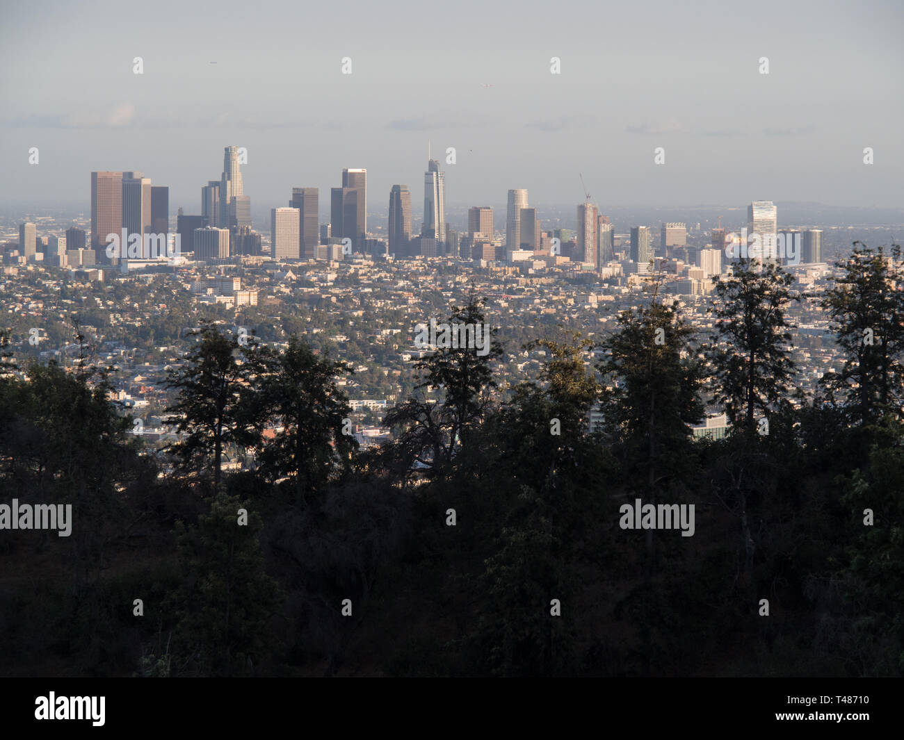 Downtown Los Angeles skyline view from the Griffith Observatory Stock ...