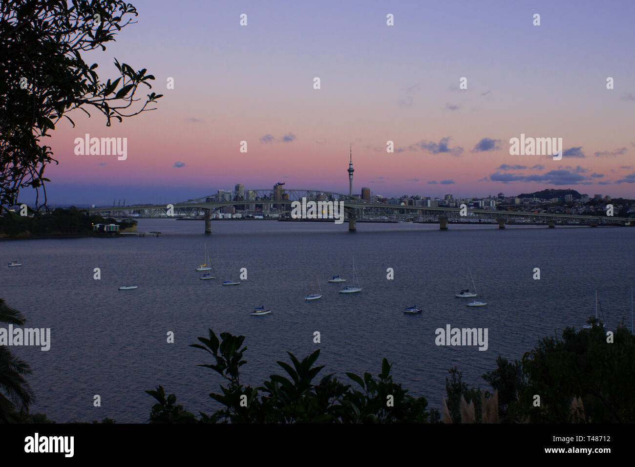 Auckland Skyline at Sunset, View across harbour and Bridge from private ...