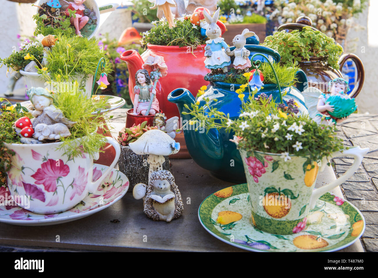 Miniature table top fairy garden with teapots and teacups used as ...
