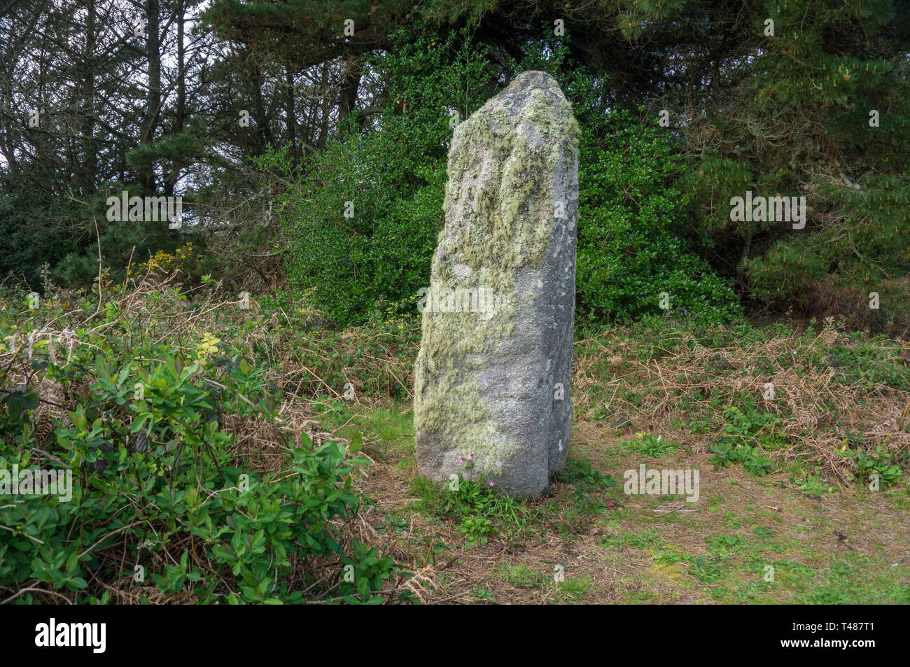 Long stone standing stone hi-res stock photography and images - Alamy