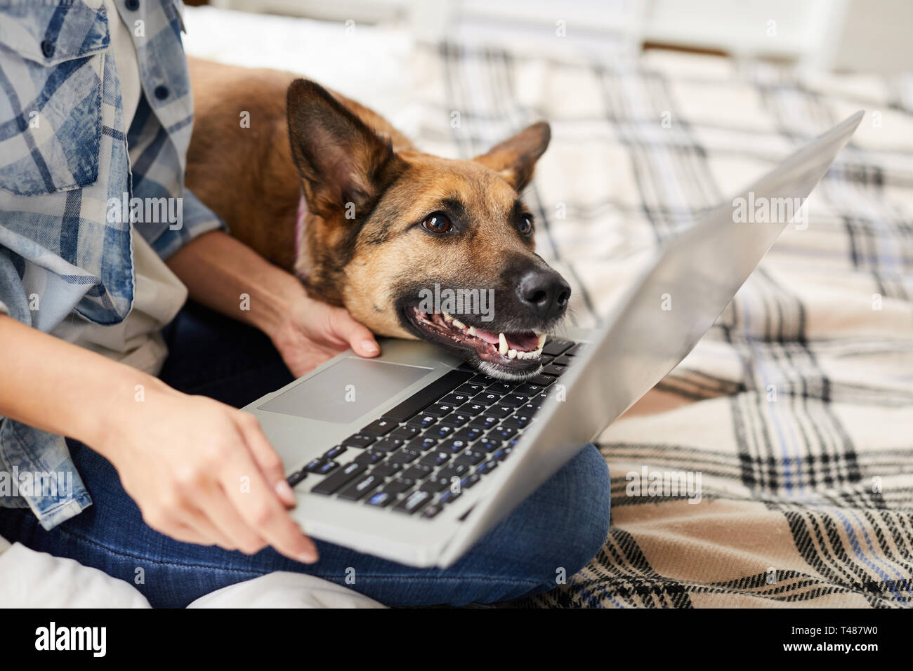 Rescue screen hi-res stock photography and images - Alamy