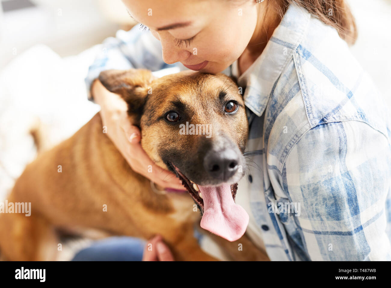 Unrecognizable woman dog home hi-res stock photography and images - Alamy