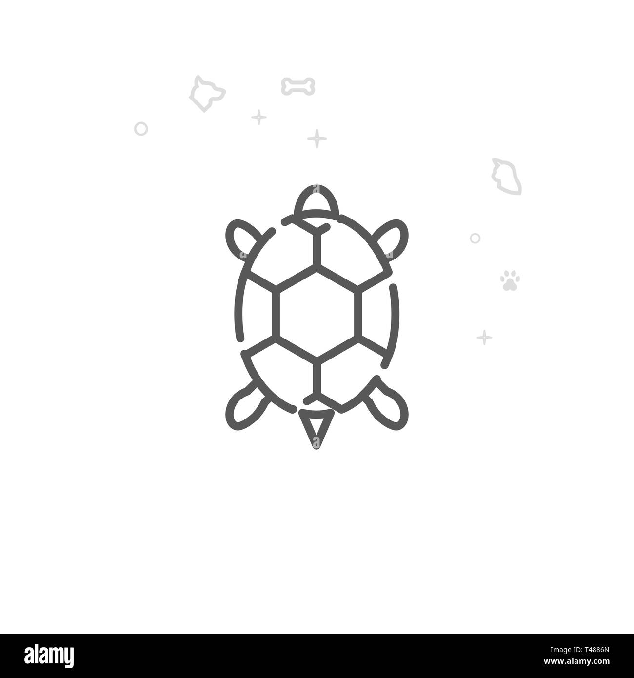 Turtle shell, top view Cut Out Stock Images & Pictures - Alamy