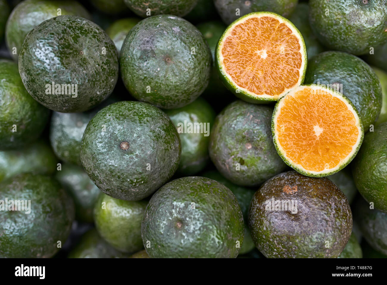 Green oranges hi-res stock photography and images - Alamy