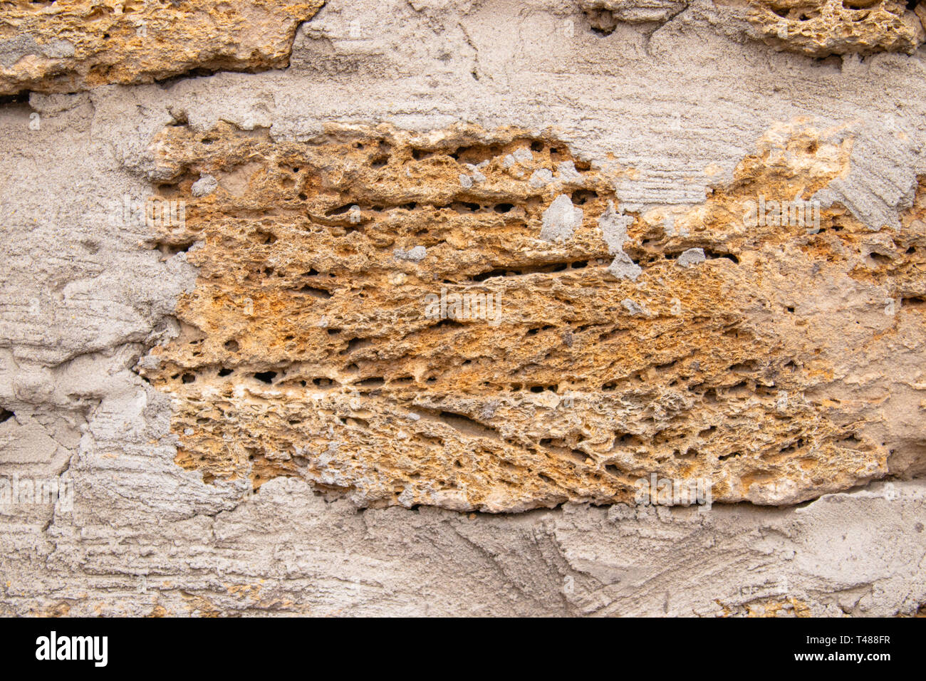 Background wall with shell rock. Old wall. Texture limestone. Texture ...