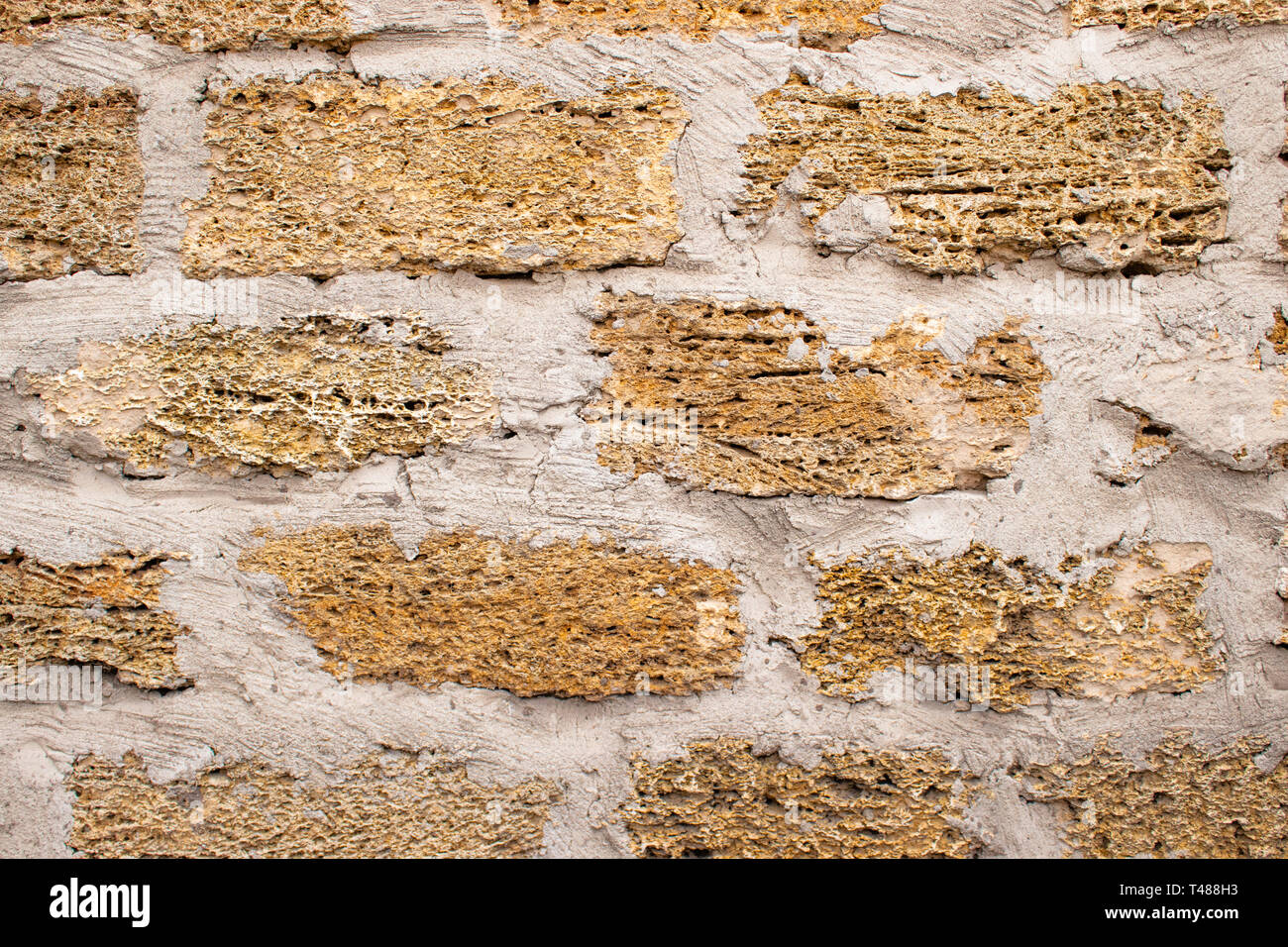 Background wall with shell rock. Old wall. Texture limestone. Texture ...