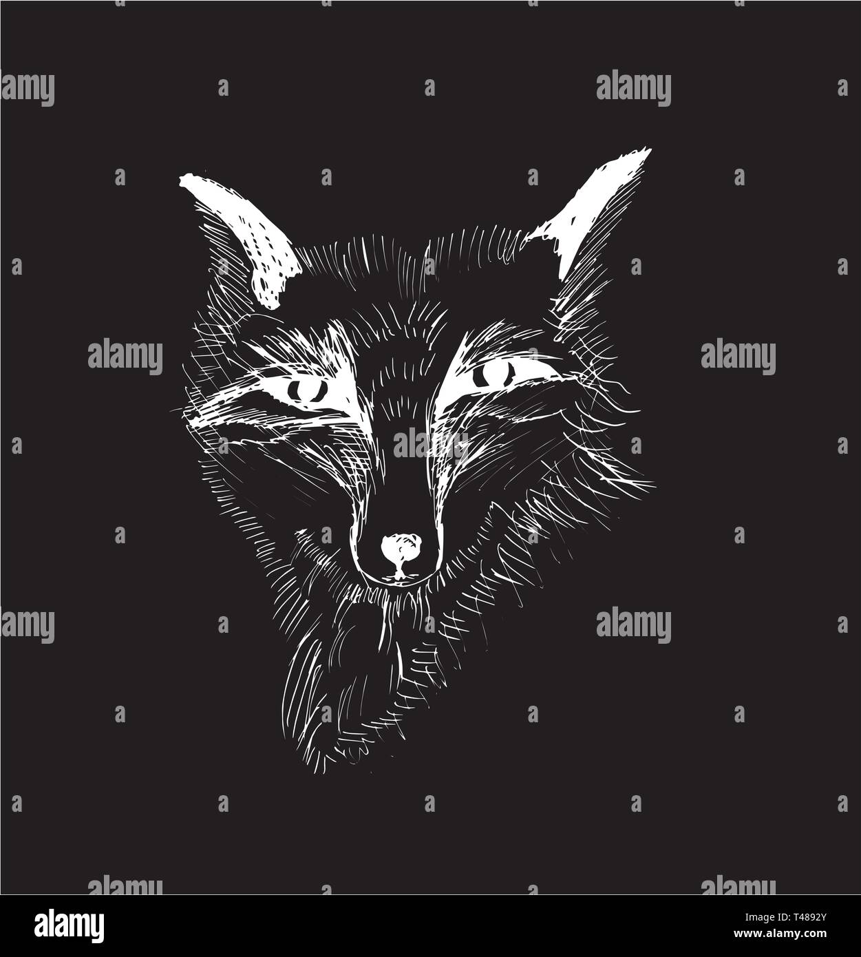 Illustration of a fox portrait in hatching style. Chalk on a blackboard ...