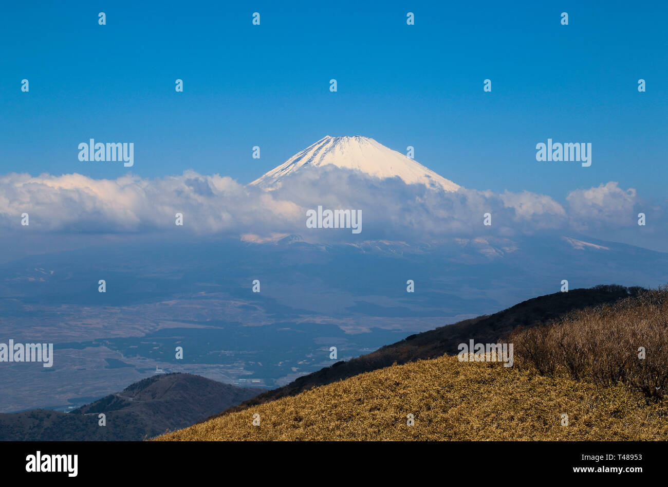 The autumn light and the scenic scenery of mount fuji hi-res stock ...