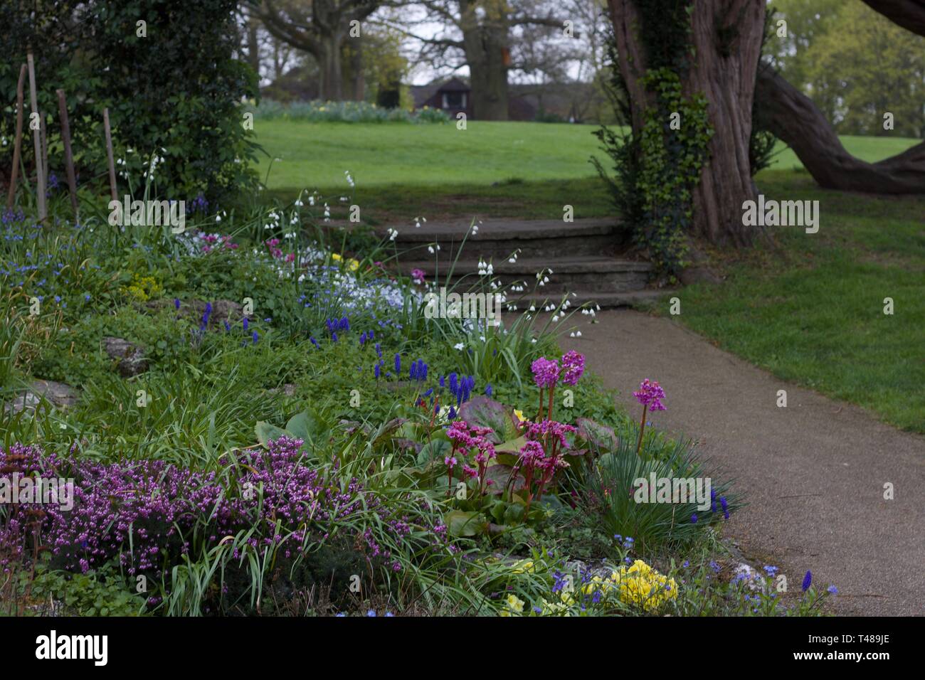 Park showing spring flowers, path and steps Stock Photo - Alamy