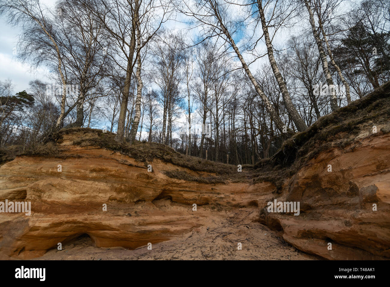 Limestone beach at the Baltic Sea with beautiful sand pattern and vivid ...