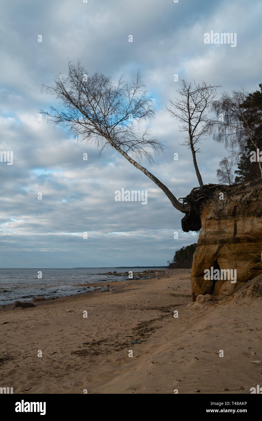 Limestone beach at the Baltic Sea with beautiful sand pattern and vivid ...