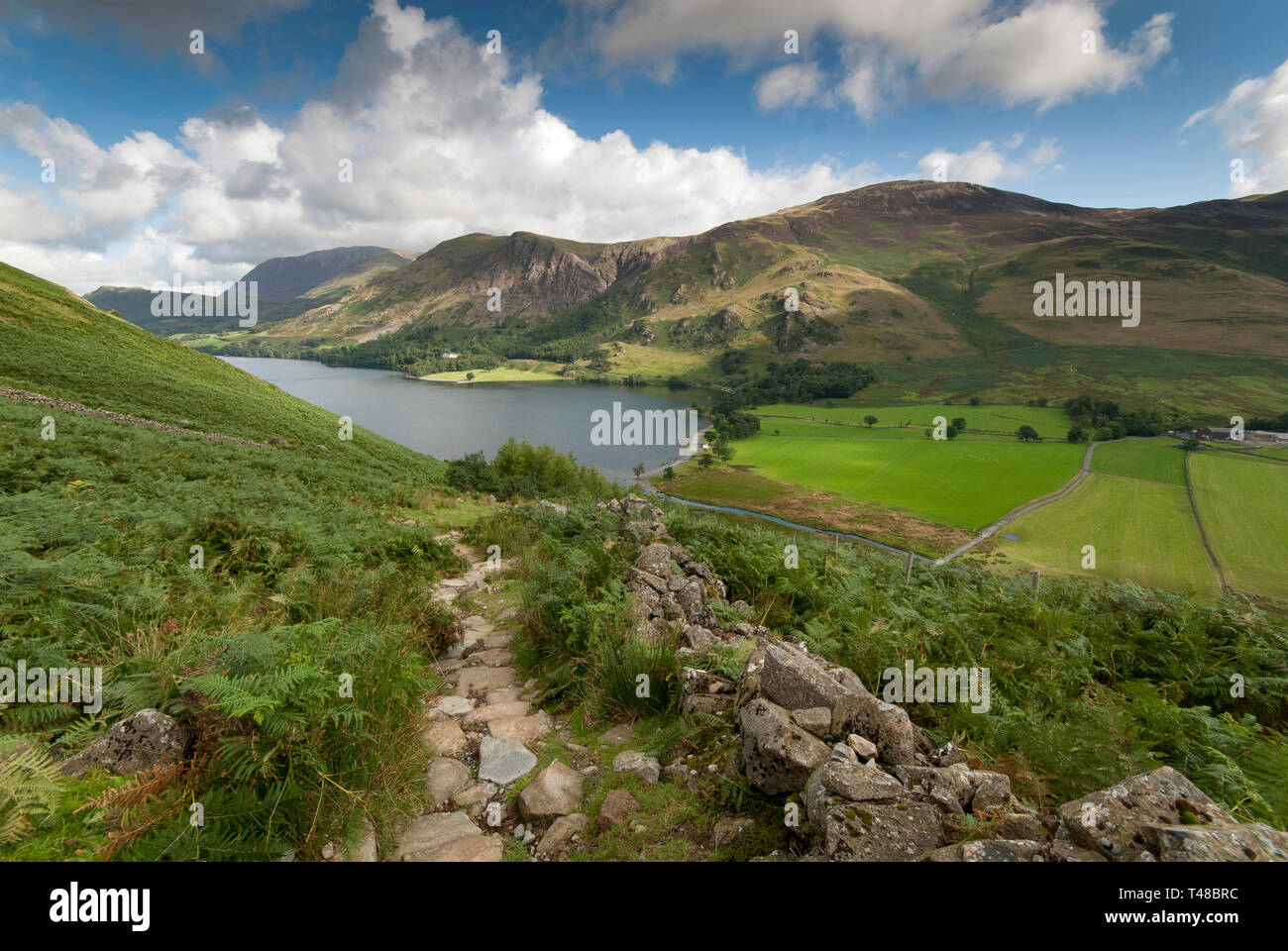 Buttermere fell hi-res stock photography and images - Alamy