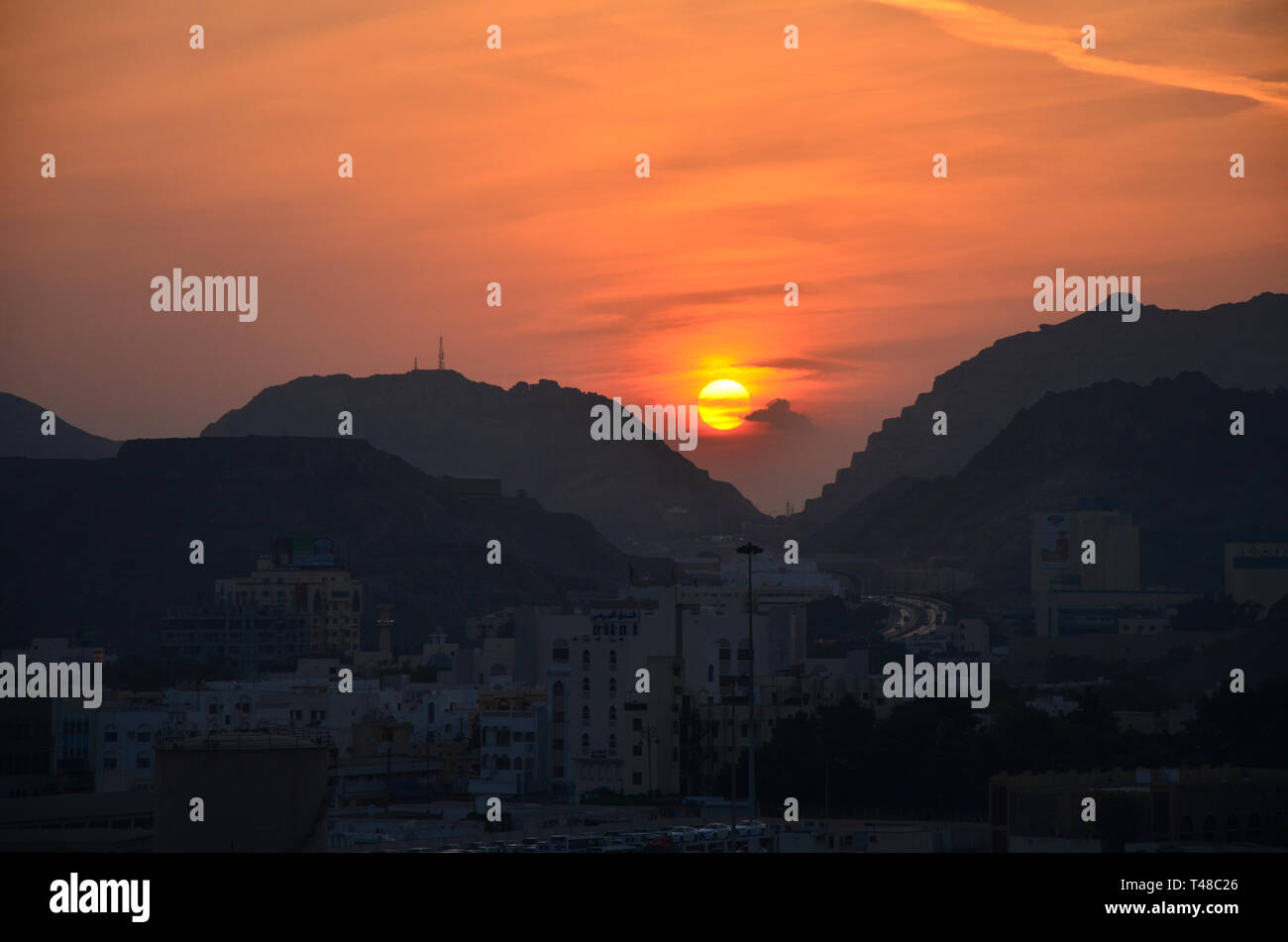 Shine muscat hi-res stock photography and images - Alamy