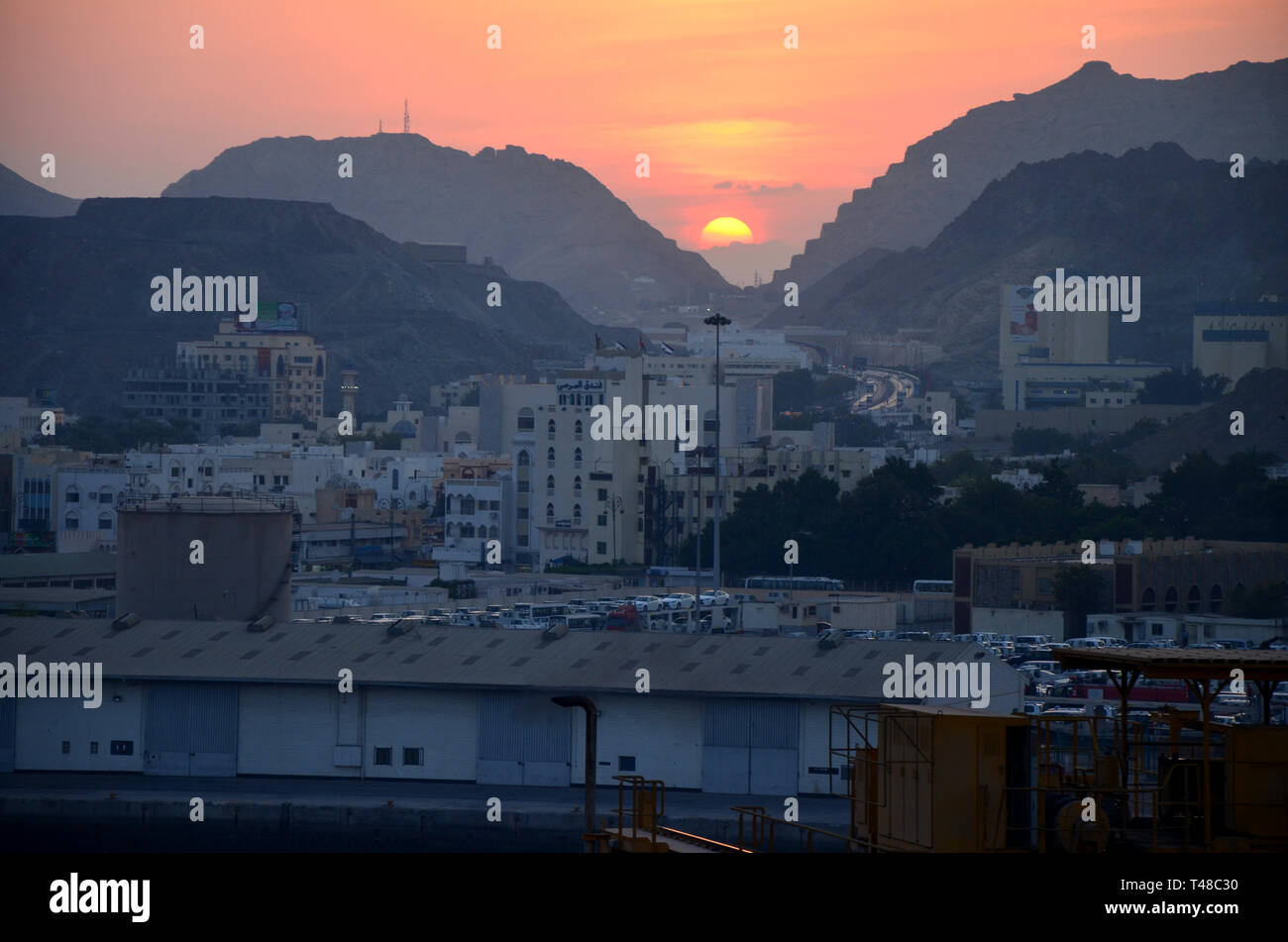 Shine muscat hi-res stock photography and images - Alamy