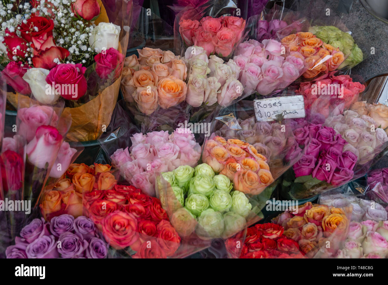 Roses for sale on a NYC street corner Stock Photo - Alamy