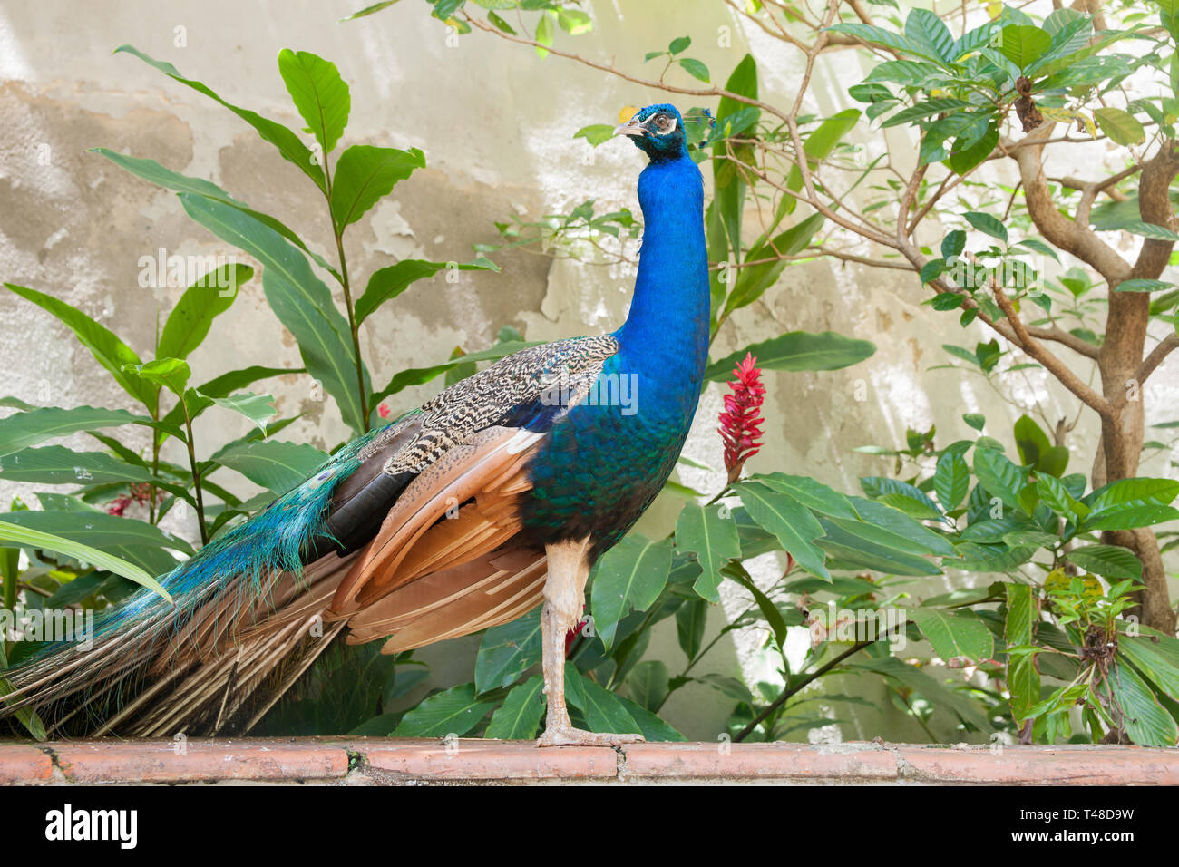Reserved Garden High Resolution Stock Photography and Images - Alamy