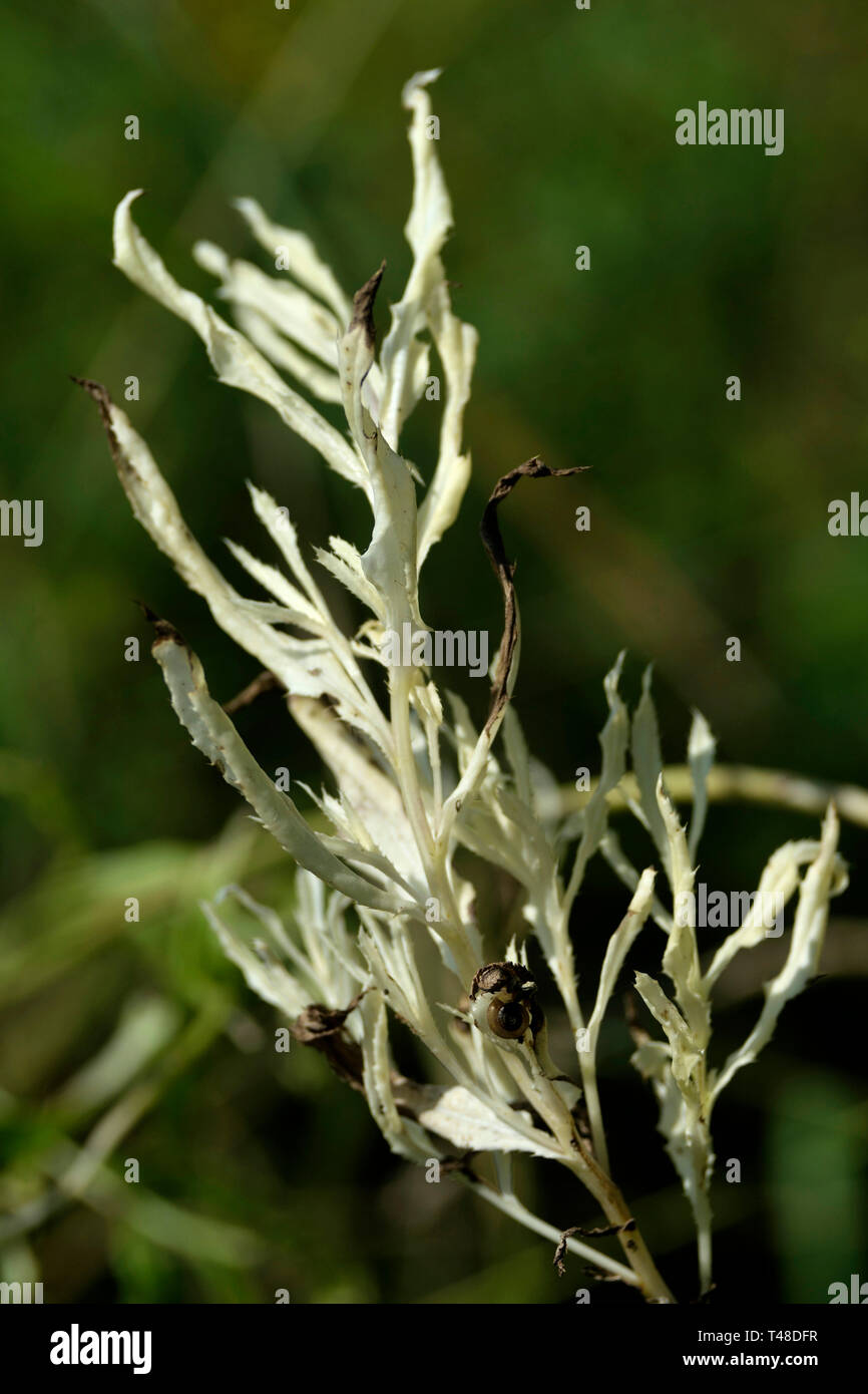 Nature reserve poster hi-res stock photography and images - Alamy