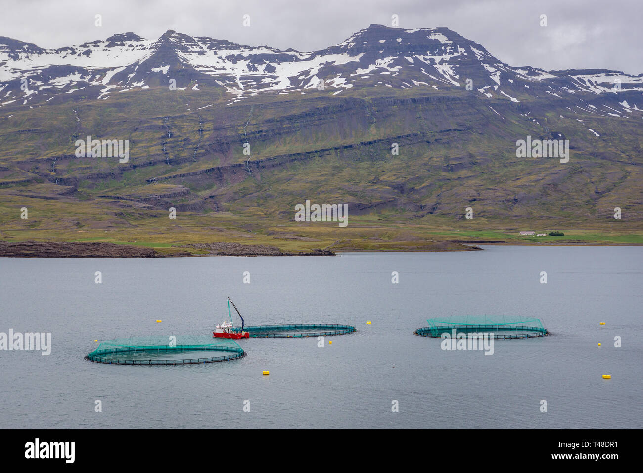 Berufjordur fjord hi-res stock photography and images - Alamy