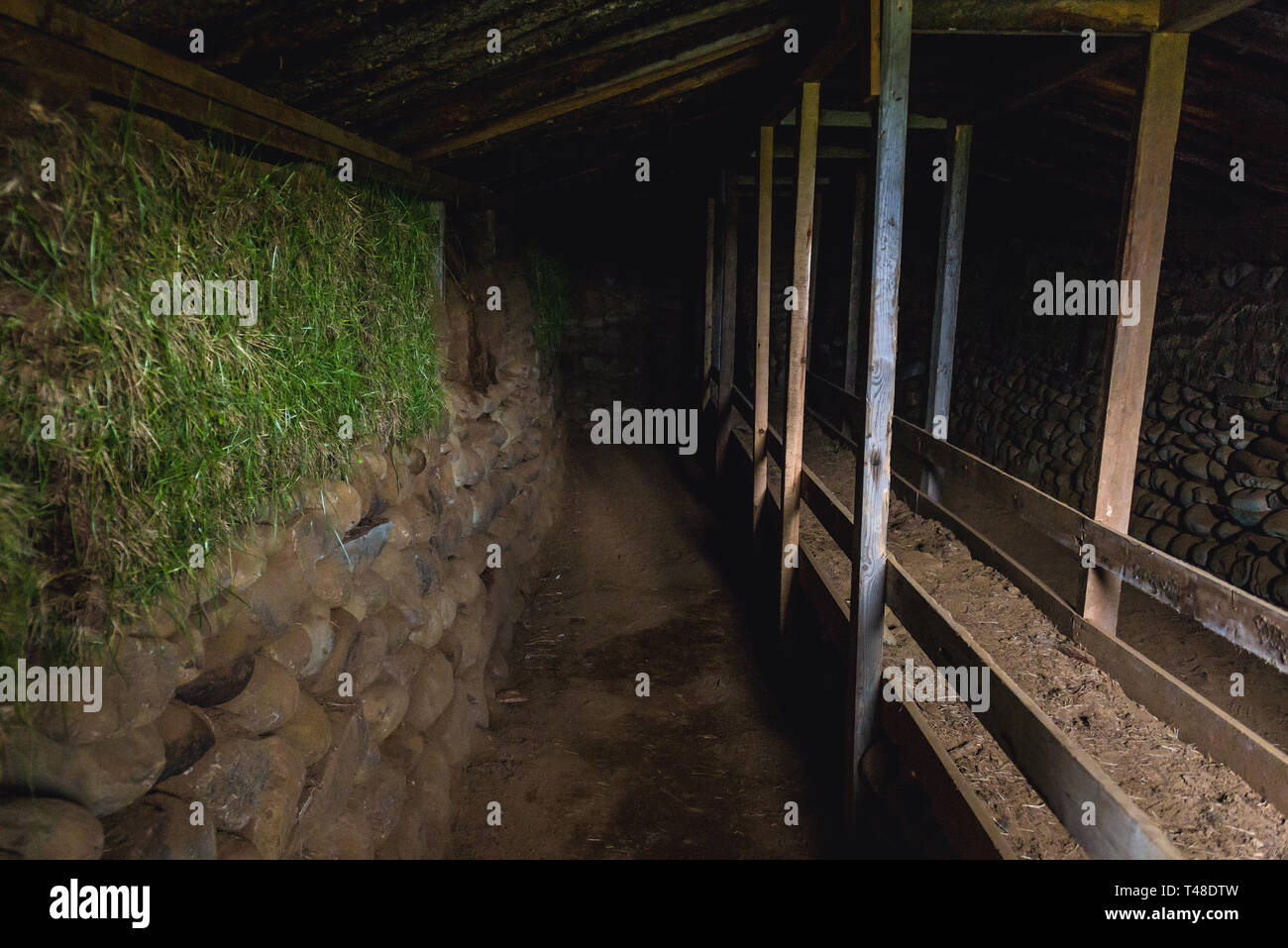Interior of old turf sheephouse of Hjardarhagi farm in eastern Iceland ...