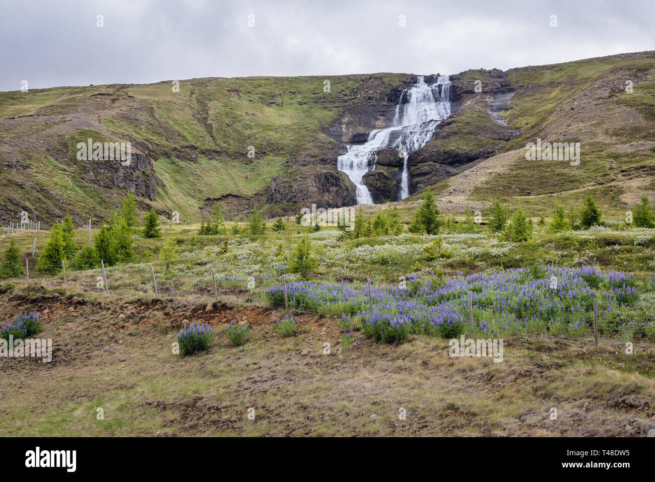 Rjukandi waterfall hi-res stock photography and images - Alamy