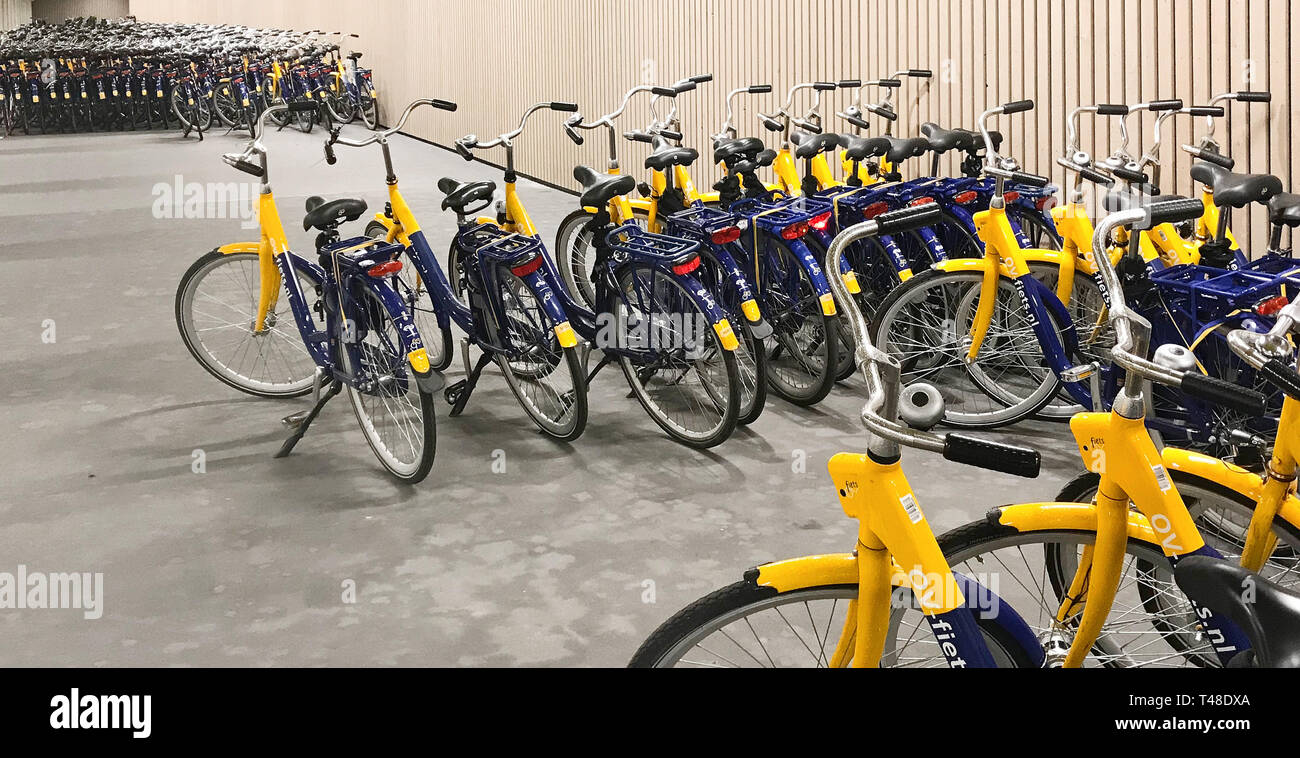 Yellow bicycle rental station on city street Stock Photo - Alamy