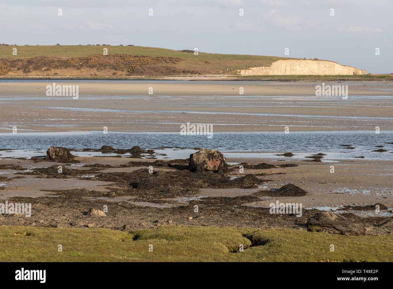Farm field and Silvestrand beach in Galway Bay, Salthill, Galway ...
