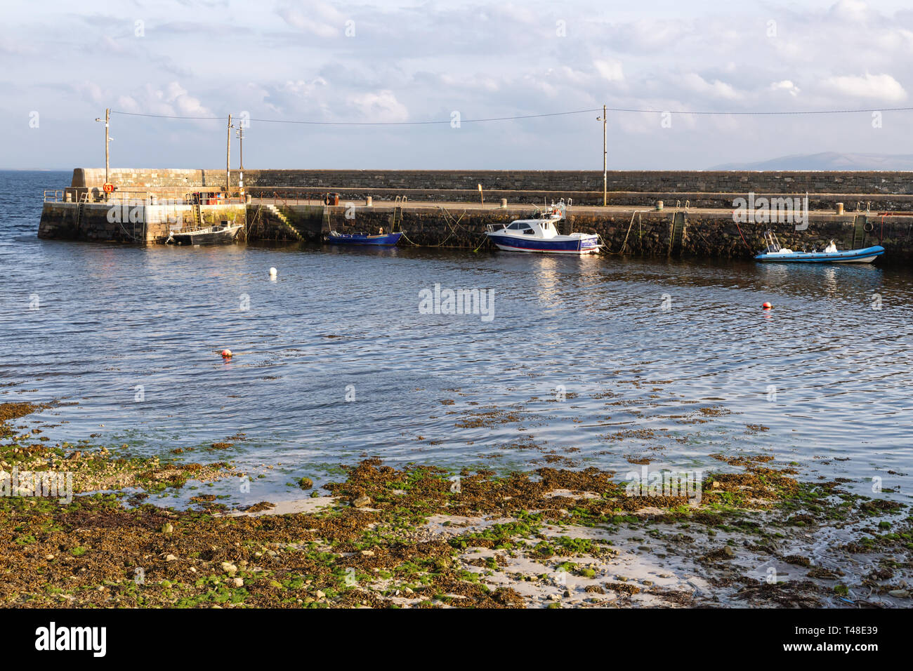 Pier and beach with rocks and vegetation in Galway Bay, Salthill ...