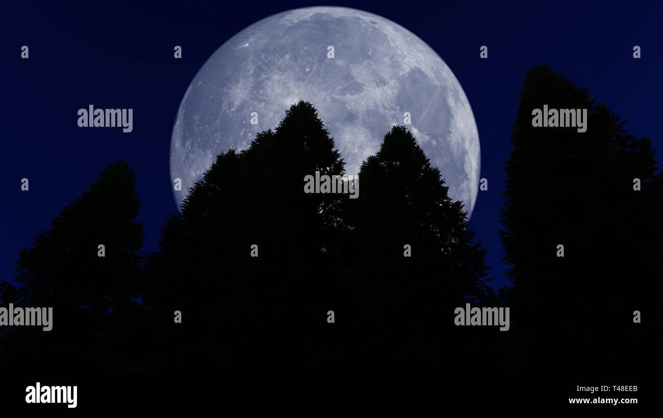 Full moon over the forest Stock Photo - Alamy