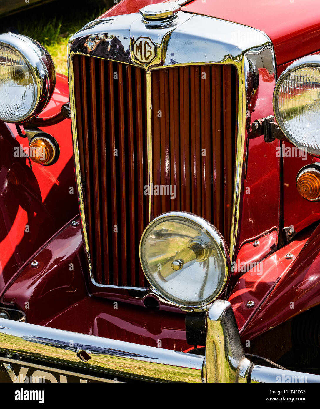 The front of an old MG TA on display at a car show Stock Photo - Alamy
