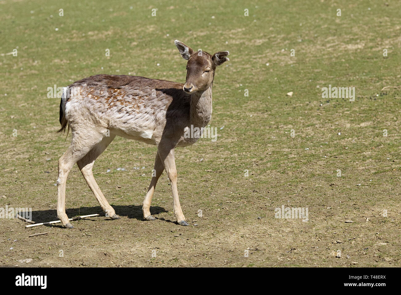 Agricultural fallow hi-res stock photography and images - Alamy