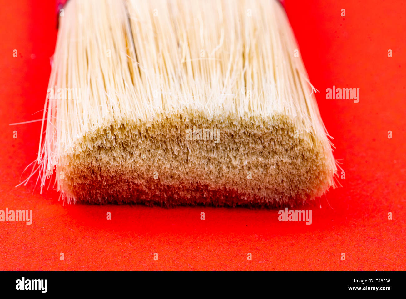 Studio photograph paintbrush hi-res stock photography and images - Alamy