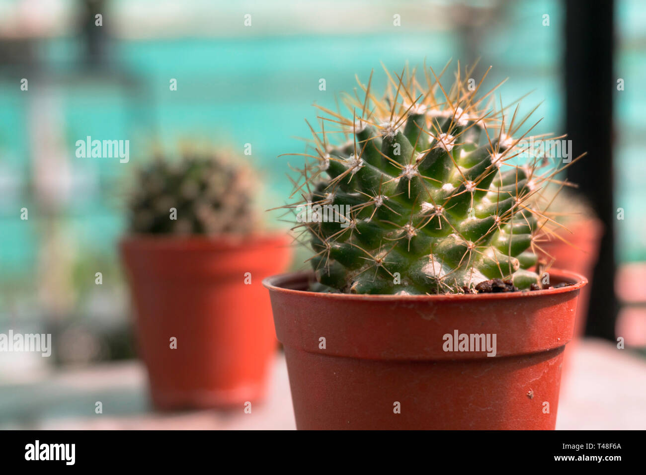 Tone cluster hi-res stock photography and images - Alamy
