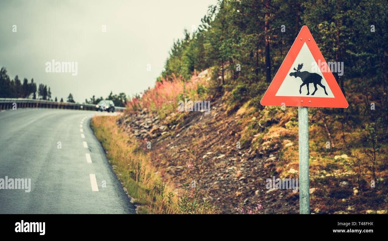 Attention moose warning sign hi-res stock photography and images - Alamy
