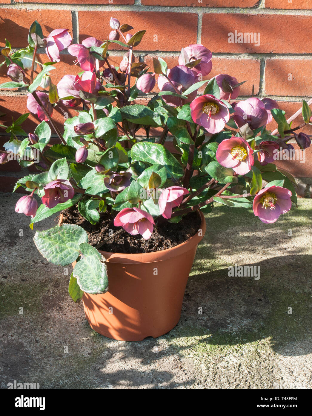 Full tub hi-res stock photography and images - Alamy