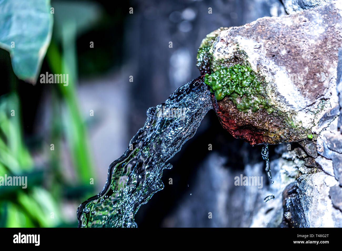 water spring in Los Lavaderos park in El Sauzal municipality (Tenerife ...