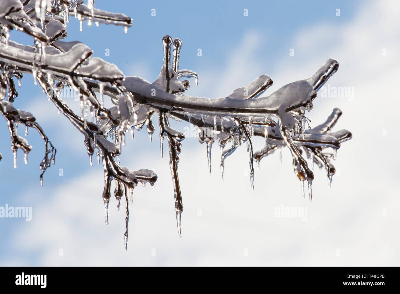 Montreal ice storm hi-res stock photography and images - Alamy