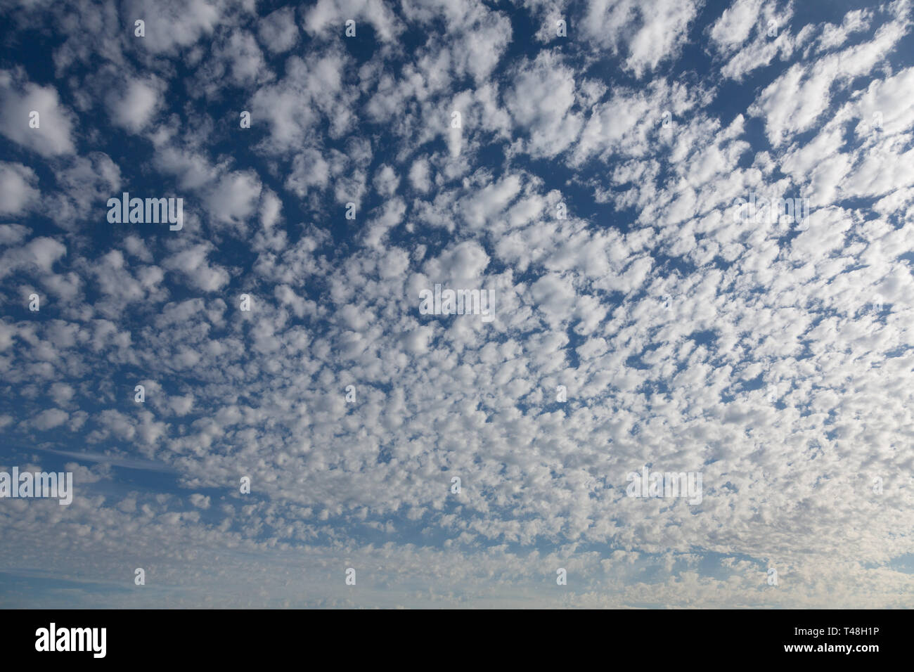 Cirrocumulus Cloud Facts