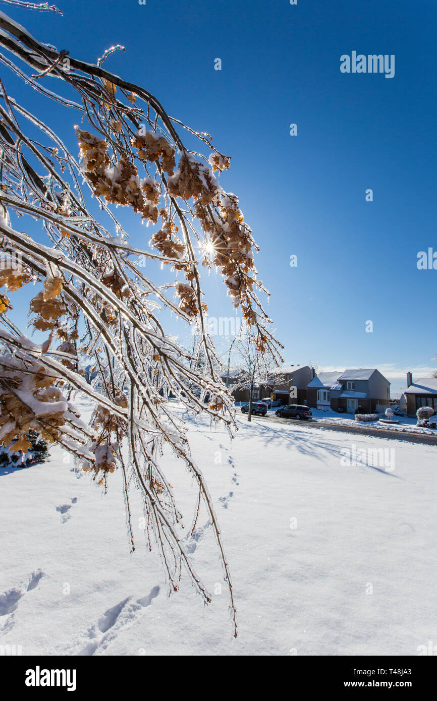 Montreal freezing rain hi-res stock photography and images - Alamy