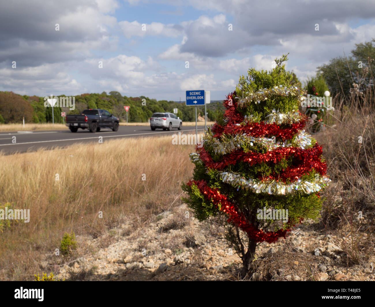 Juniper trees hi-res stock photography and images - Alamy
