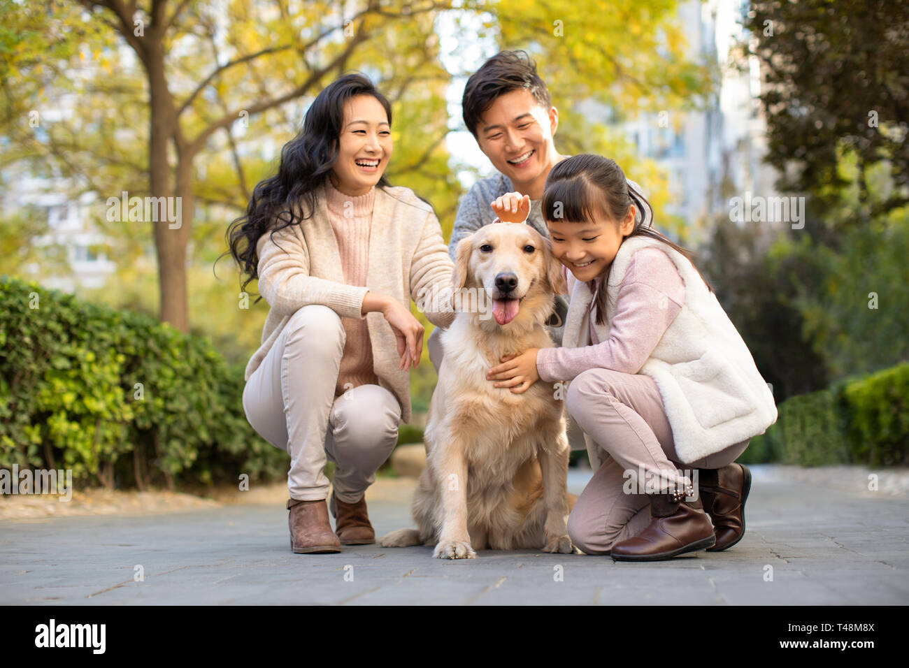 Happy young family playing with dog Stock Photo - Alamy