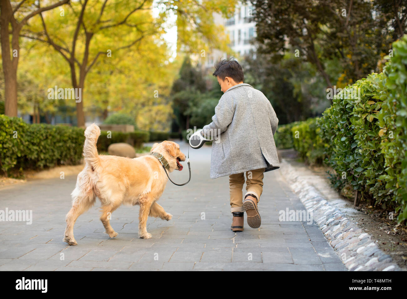 Little boy running with dog Stock Photo - Alamy