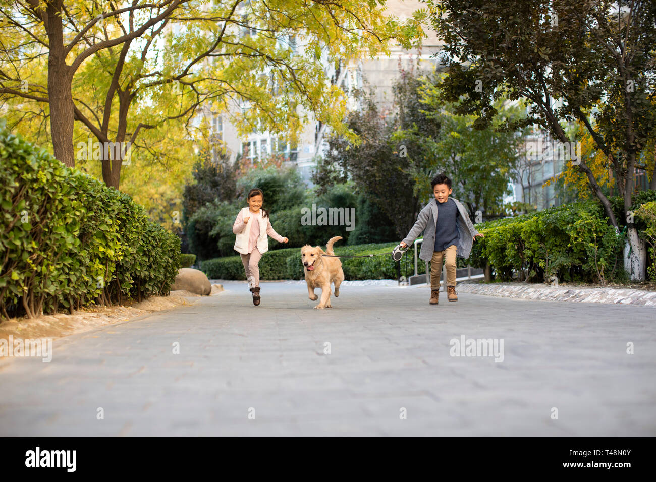 Two children running with dog Stock Photo - Alamy