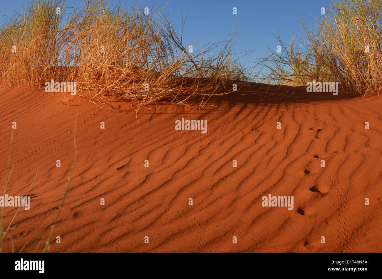 Beautiful landscape view in Namibia, Africa Stock Photo - Alamy