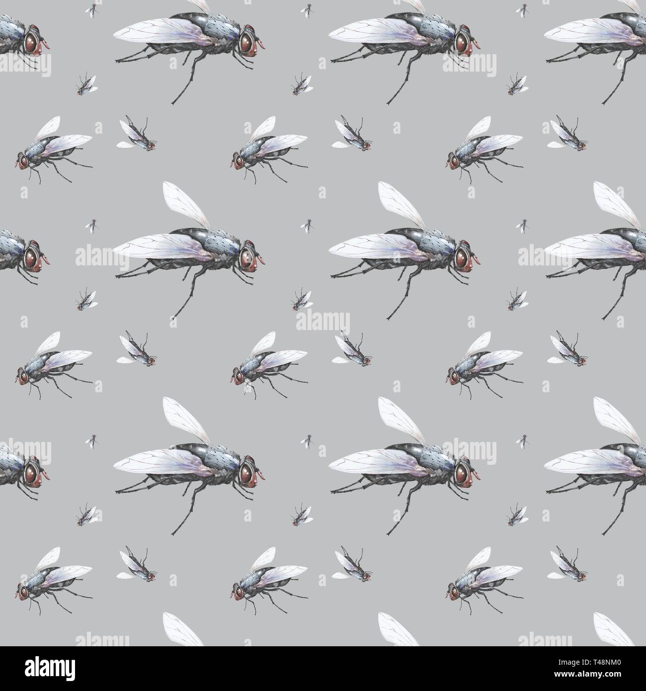 Wallpaper, wrapping paper, seamless pattern, housefly, background grey ...